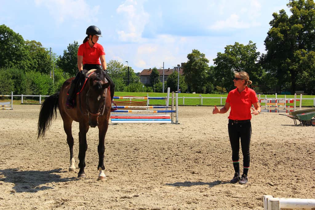 Springen – Nationales Pferdezentrum Bern