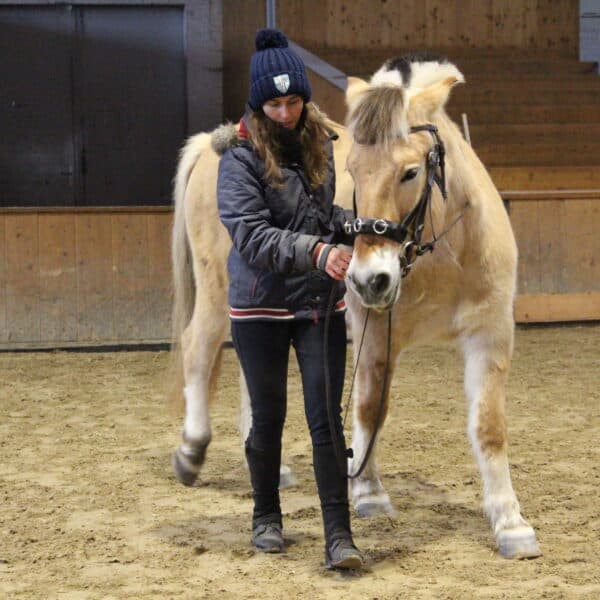 Handarbeit mit Lara Rée – Einzellektionen – Nationales Pferdezentrum Bern