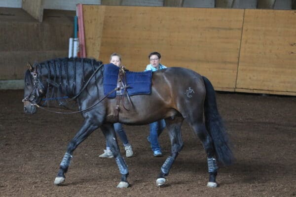 Wir bieten einen Handarbeitskurs mit Lara Rée an! – Nationales ...